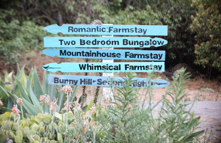 Mountain House - Morning Song Farm