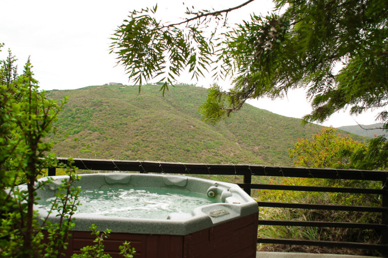 Mountain House - Morning Song Farm